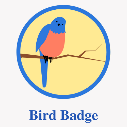 Bird Badge - Triangle Land Conservancy