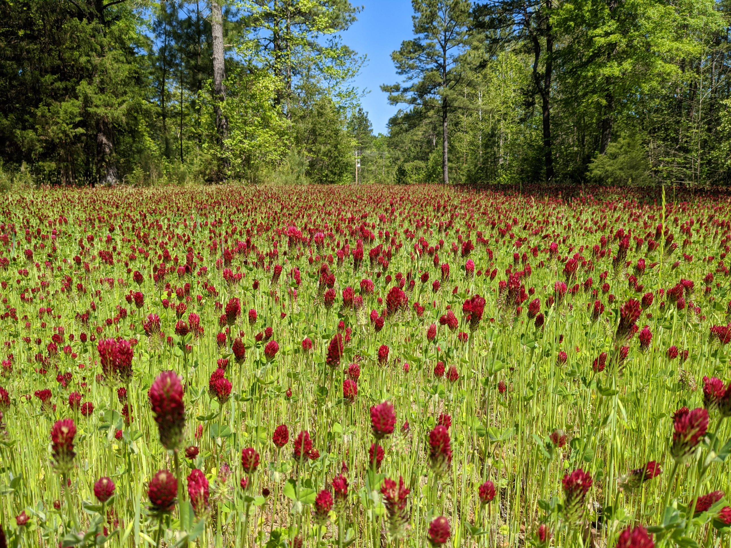 Conservation Conversations: TLC Board Happy Hour - Triangle Land ...