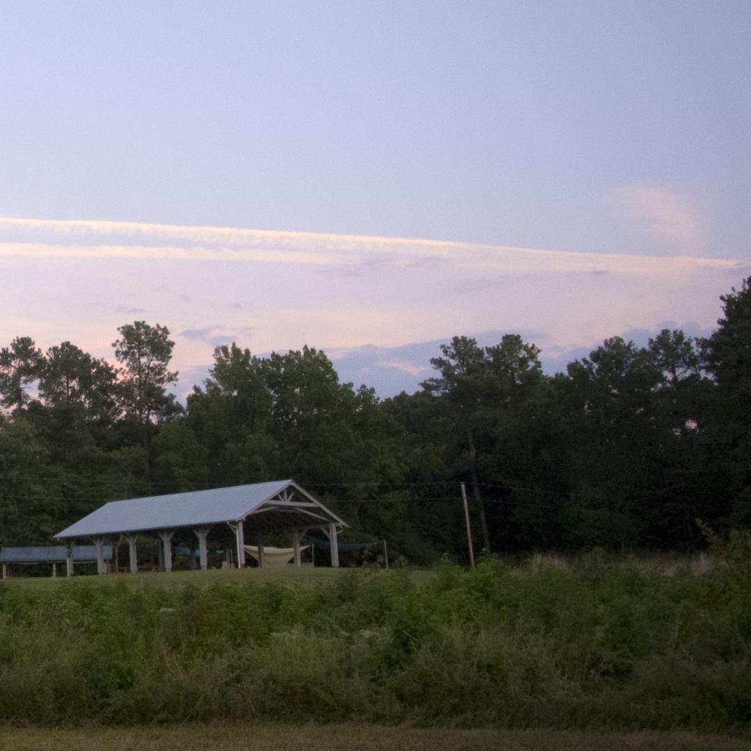 Hike and Learn: A Sneak Peek of TLC Properties - Triangle Land Conservancy