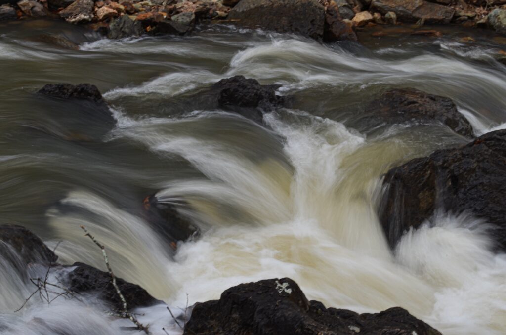 Be a force for nature: TLC’s 2026 photo contest | Triangle Land Conservancy