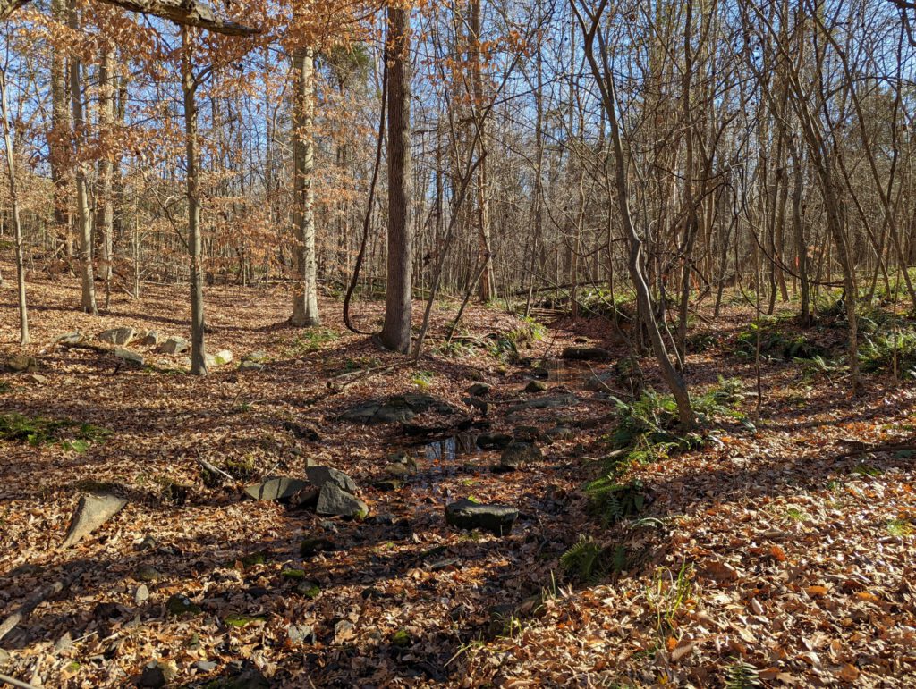 Conservation Burial Options | Green Burial in NC