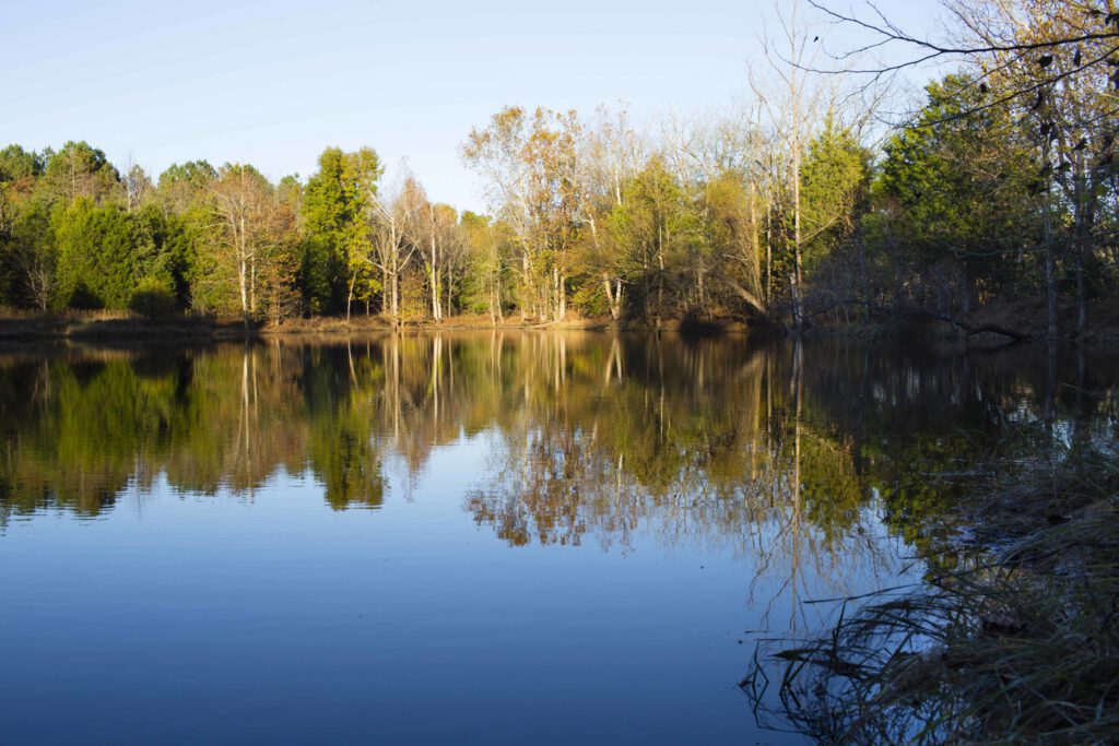 Brumley Preserve Ribbon Cutting | New TLC Nature Preserve NC