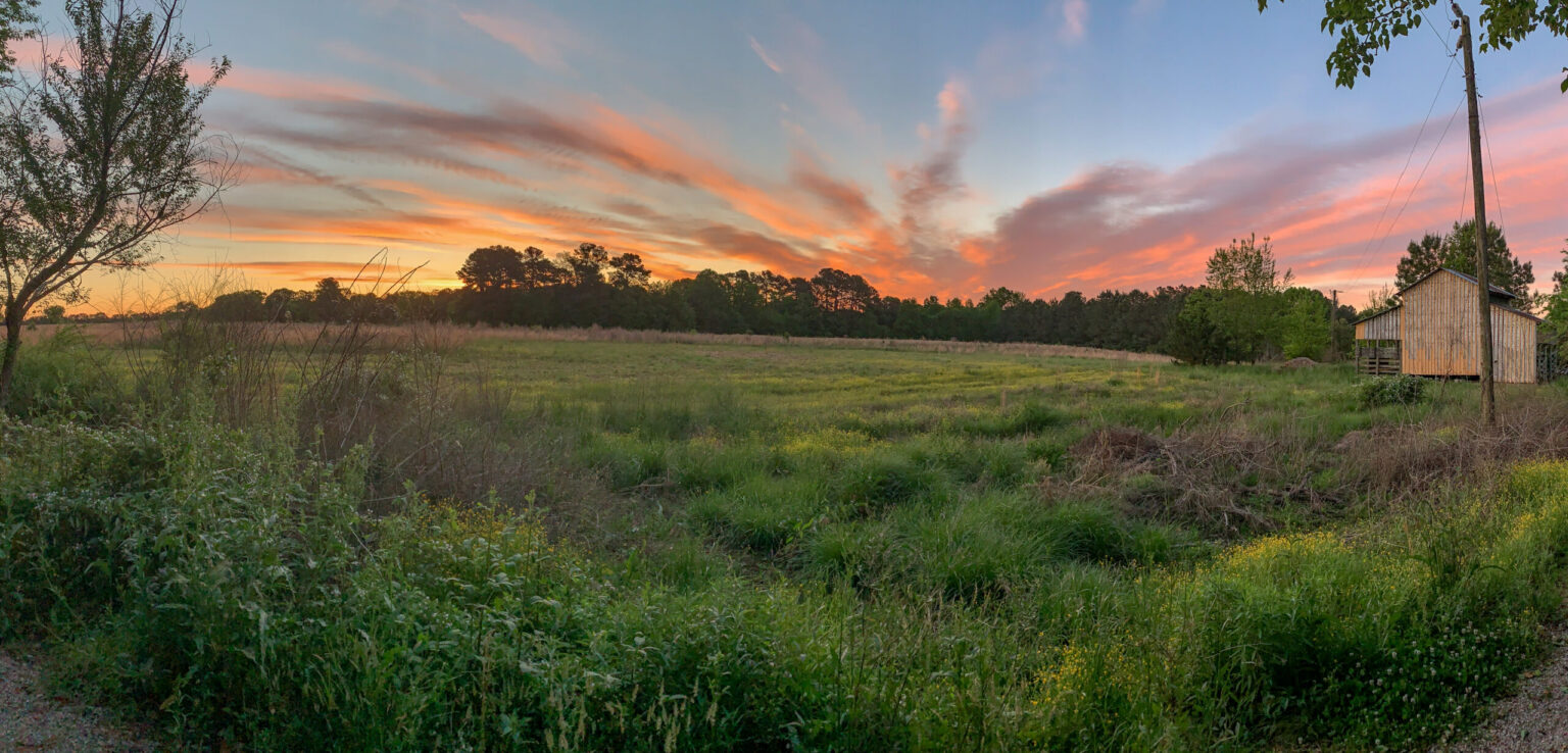 Free Nature Preserves & Hiking Trails | Triangle Land Conservancy