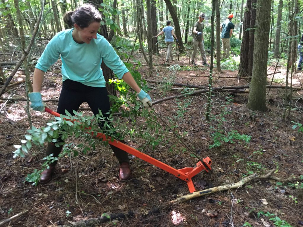 Invasive Species Management | Habitat Restoration NC