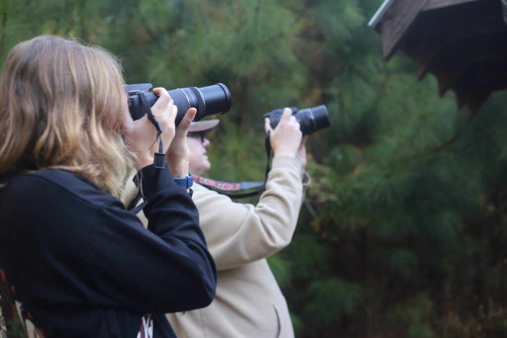 Be a force for nature: TLC’s 2026 photo contest | Triangle Land Conservancy