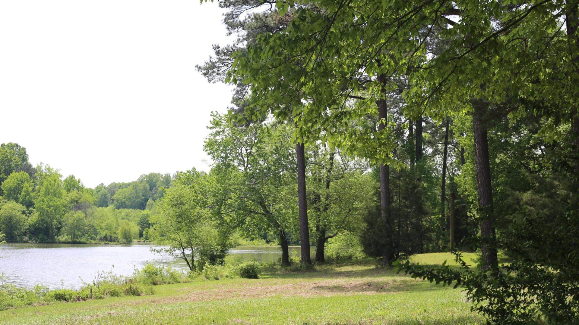 2025 Annual Report | Triangle Land Conservancy Achievements