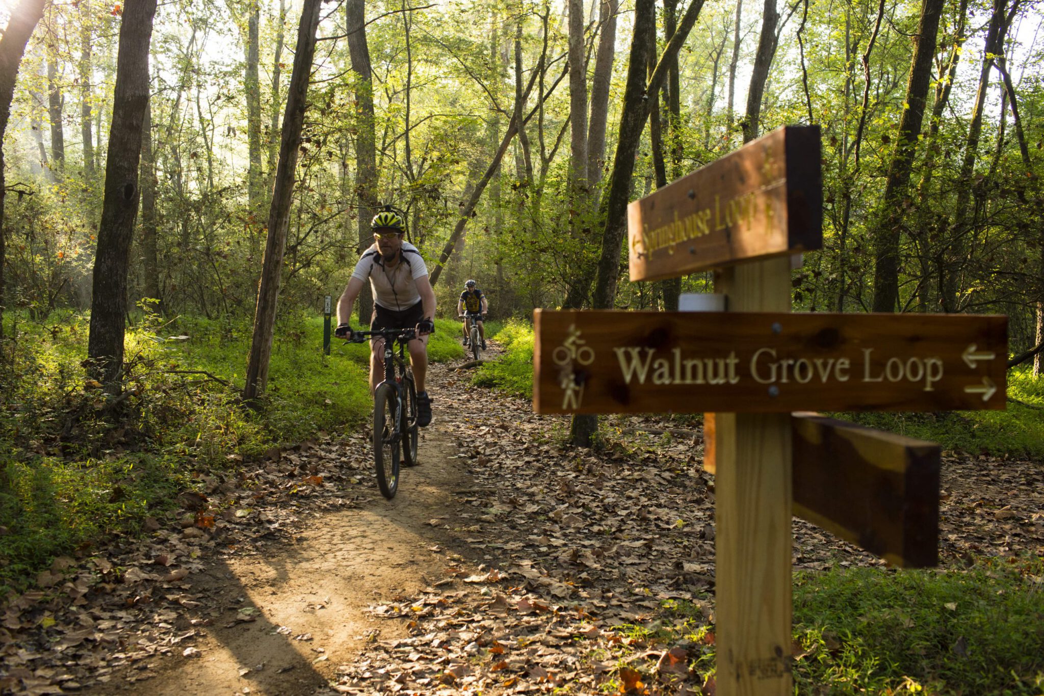 George & Julia Brumley Family Nature Preserve | Triangle Land Conservancy