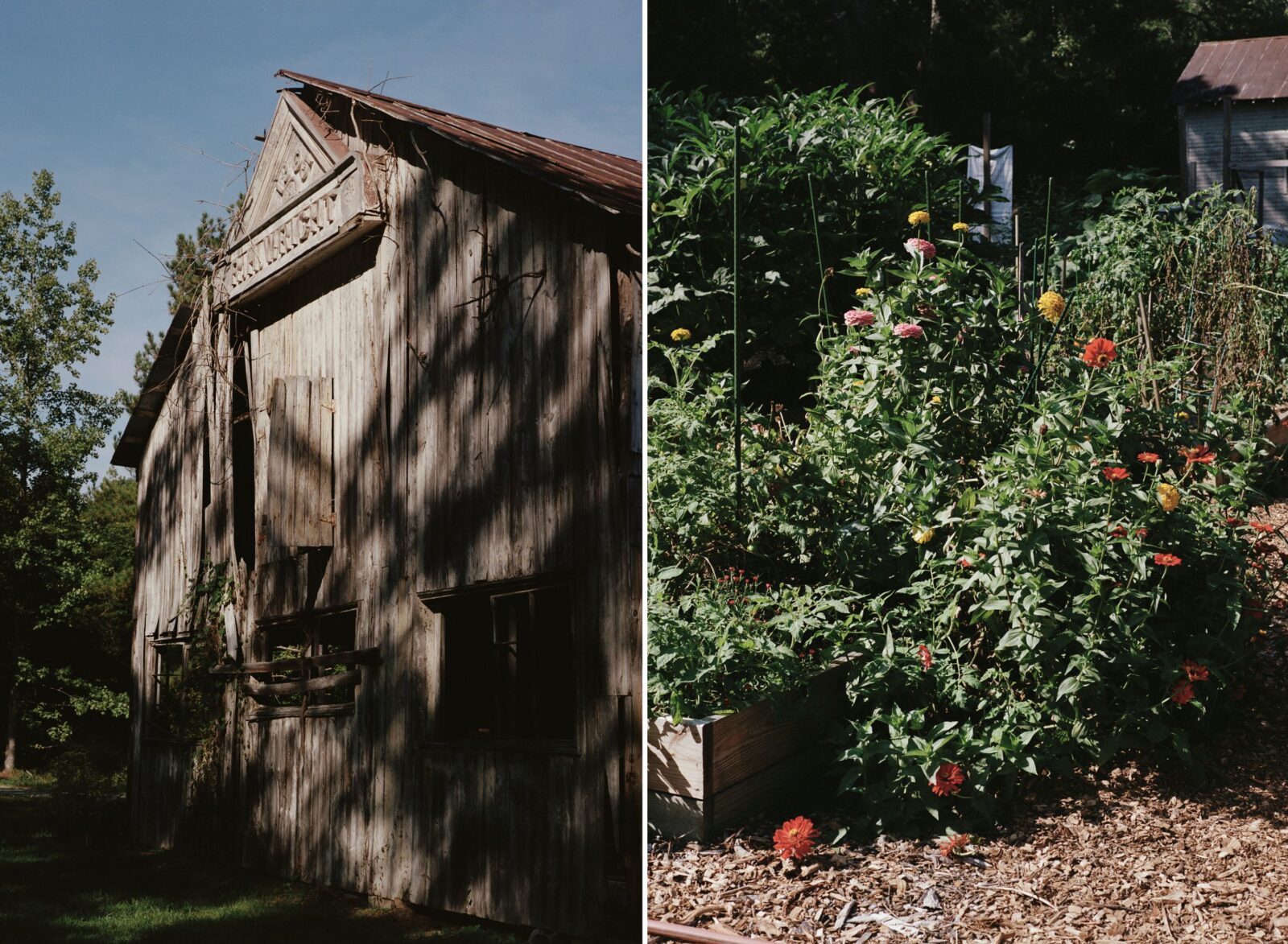 News & Media Coverage | Triangle Land Conservancy in the Press